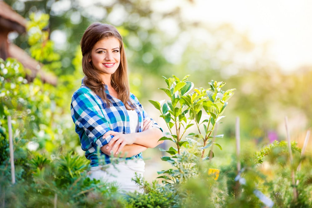 Why Your Yard Needs Healthy Trees