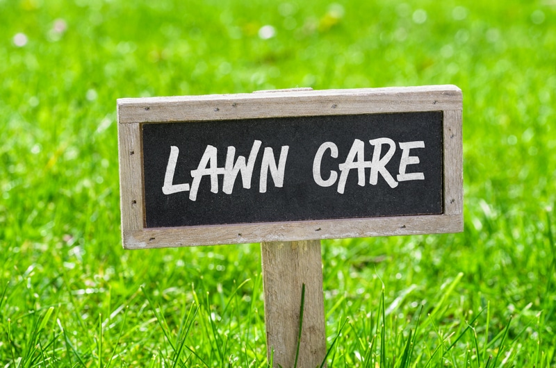 OKC Lawn Care Services | Watson's Weed Control